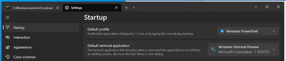 Setting Up Windows Terminal in Windows 10